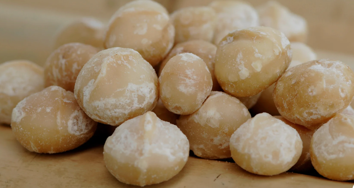 Raw Australian Macadamia – Trace Foodsteps South Australian Producers